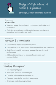 UDL: Designing Multiple Means for Action and Expression