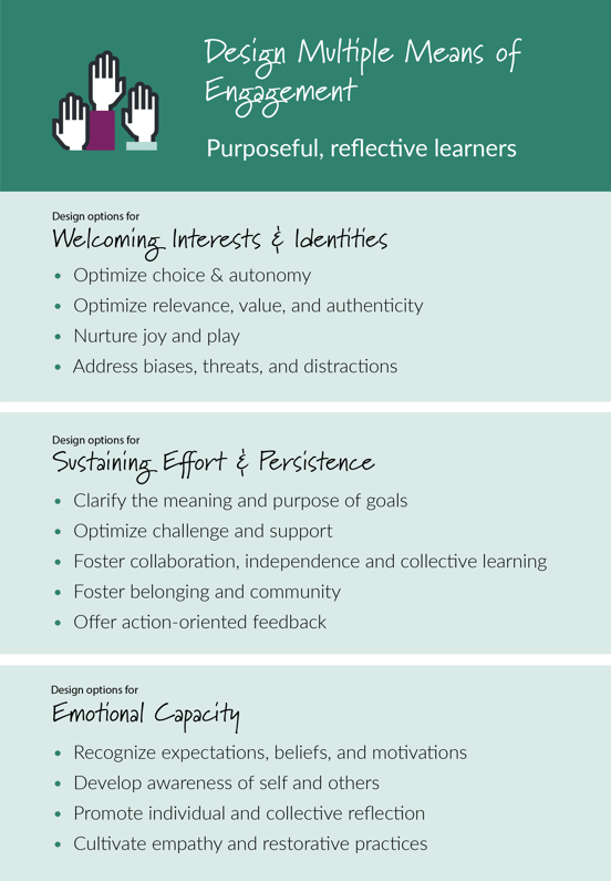 UDL: Designing Multiple Means for Engagement
