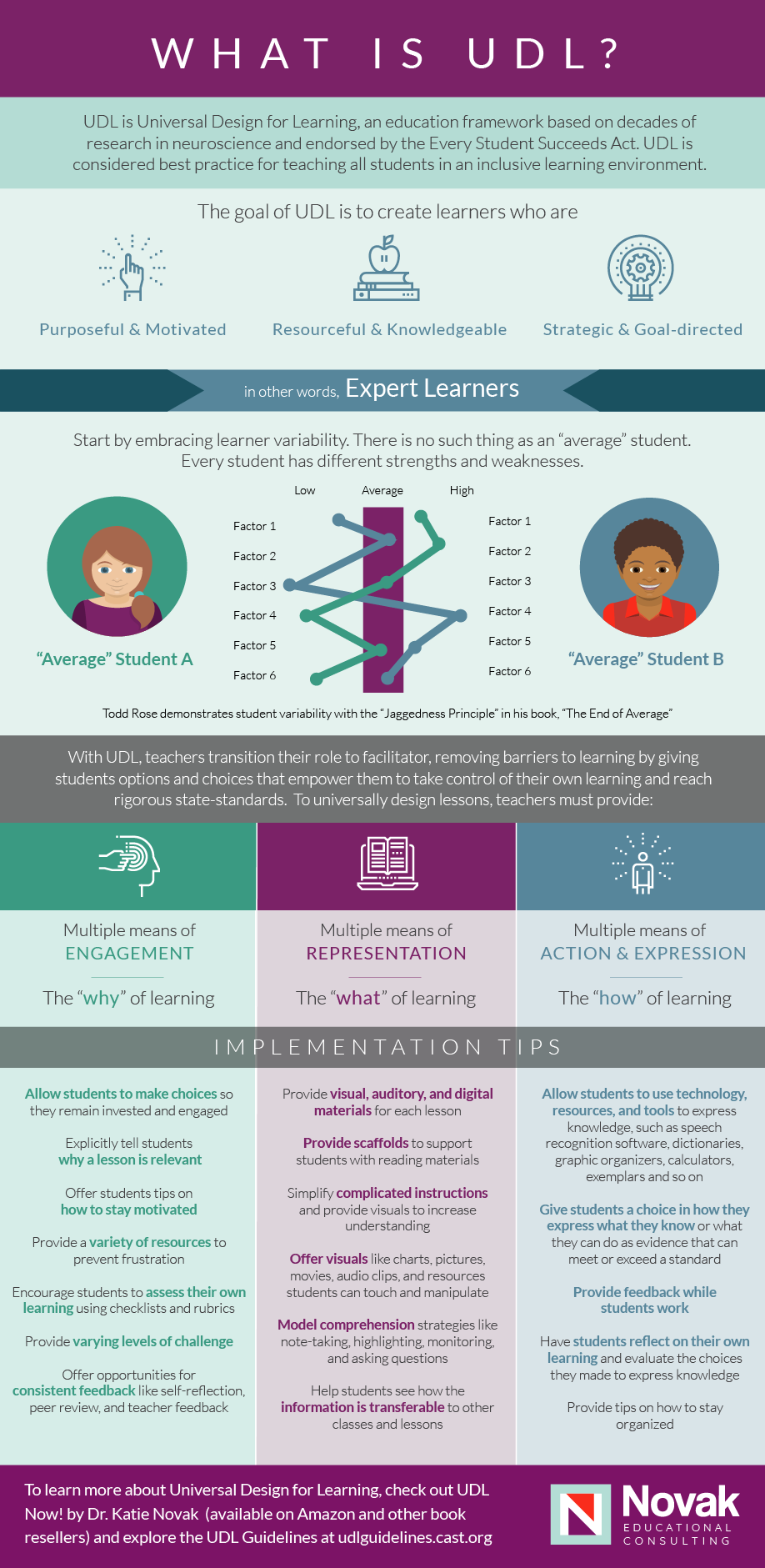 What is UDL? [Infographic] - Novak Educational Consulting